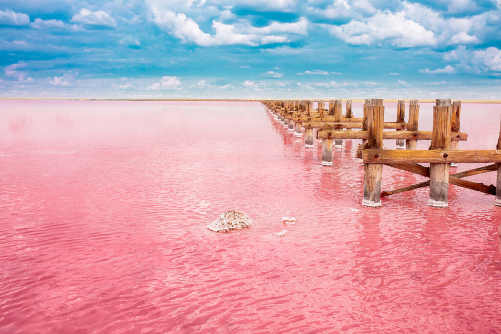 Lago di Sivaš: dove si trova e come arrivare al lago rosa